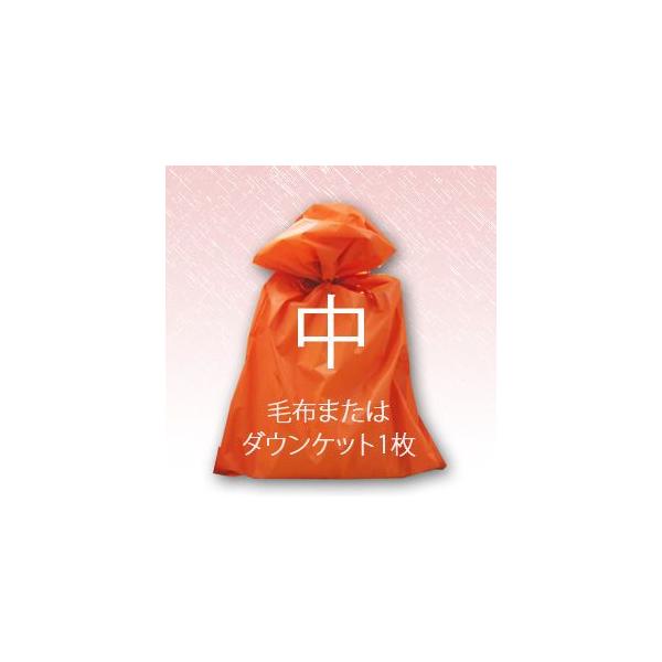 こちらは中サイズのラッピングとなります。中サイズの目安につきましては、下記の『ラッピングの目安』をご確認下さい。こちらの商品は、ギフト専用のラッピング袋です。ご希望の商品とご一緒にお買物頂けましたら、不織布の袋にお入れし、リボンをかけてお届...