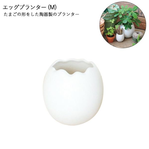 たまごの形をした陶器製のプランター。ぬくもりのあるマットな質感です。ガーデニング 家庭菜園 栽培 ステイホーム 緑化 植物 暮らし ギフト プレゼント