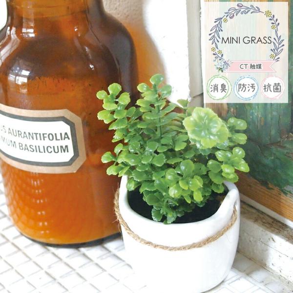 まるで本物のように繊細に作られた人工の観葉植物なので、水やりなどのお世話いらずでお手軽にグリーンのある暮らしが叶います。お部屋の空気をキレイにする、CT触媒加工を施しているので消臭・抗菌・防汚効果が期待できます。何気ない癒しをくれるころんと...