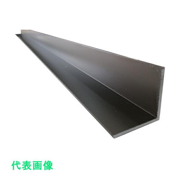 《メーカー》アルインコ住宅機器事業部《特長》●アルミアングルです。《用途》●見切りに。●端の目隠しに。●カットして補強金具や止め金具に。《仕様》●縦(mm)：19●横(mm)：19●厚さ(mm)：1.0●全長(mm)：1000●表面処理：ア...