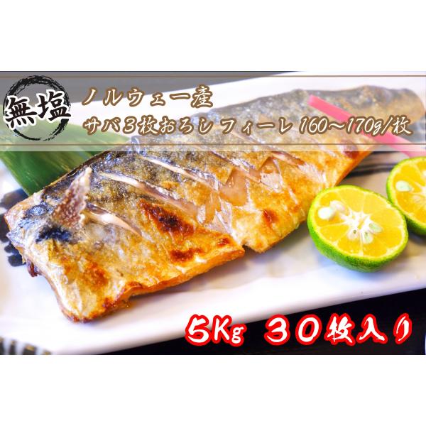 ノルウェー産 無塩 無添加 サバ 3枚おろし フィーレ 160g-170g 30枚 5Kg バラ凍結 | 酒と肴の百貨店 徳田萬太郎商店 | SitePromo
