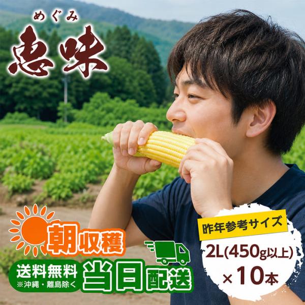【発売日：2026年08月01日】■綿半■夏の贈り物■青果 野菜 とうもろこし トウモロコシ 産直 長野 信濃町産