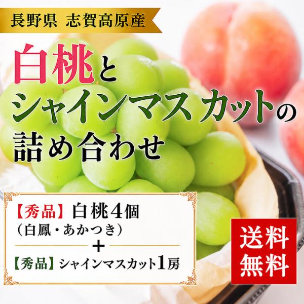 【発売日：2026年07月25日】■綿半■夏の贈り物■青果 フルーツ 旬 デザート 果物 桃 momo 販売 産地 産直 長野