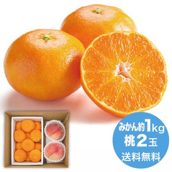 水はけの良い園地で育てられた桃と温室で徹底した管理のもと育てたハウスみかんのセットです。 ■お中元ギフト特集2026■フルーツ