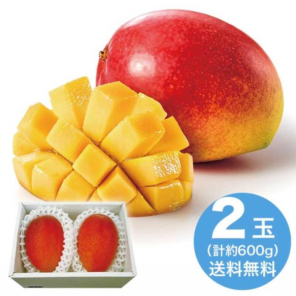 日本で唯一亜熱帯地域に属する沖縄で育った柔らかいオレンジ色の果肉と濃厚な甘みが特徴のトロピカルフルーツです。 ■お中元ギフト特集2026■フルーツ