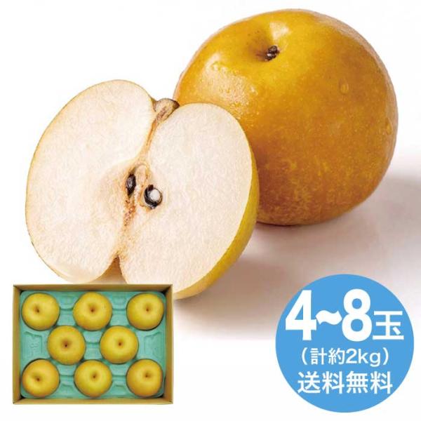 和梨の収穫シーズンを最初に迎える幸水梨。適度な硬さの果肉と瑞々しく甘みを含んだ果汁が特徴です。 ■お中元ギフト特集2026■フルーツ
