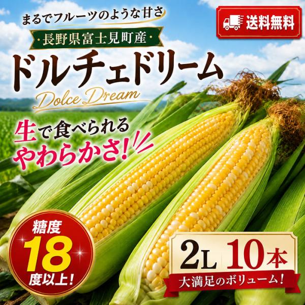 【発売日：2026年07月25日】■綿半■夏の贈り物■青果 野菜 とうもろこし トウモロコシ 産直 長野 富士見町