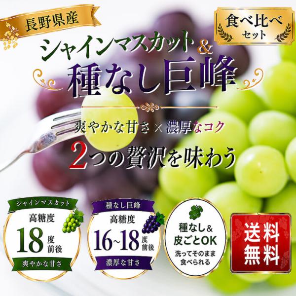 【発売日：2026年07月25日】■綿半■夏の贈り物■青果 フルーツ 旬 デザート 果物 旬 シャインマスカット 産直 長野