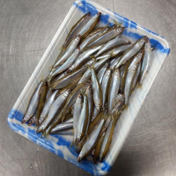 《商品説明》冬から春にかけて山からの雪解け水のミネラル（栄養）たくさん食べた鮎を、昔からの漁で 生きたまま漁港で〆ることにより、魚の鮮度は抜群です。こぶりで柔らかい小鮎は鱗もあたらず丸ごと食べるのに最適です。鮎本来の旨みが味わえます。天ぷら...