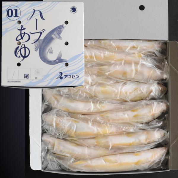 《商品説明》５種類のハーブエキスを食べさせることによって背脂をも極限にまで尾さえ（霜降りのような身質）、鮎本来のスイカ香りが味わえる、天然鮎に優る味と香りを実現しました。愛知県東三河を流れる豊川水系の地下25-200ｍの良質で豊富な地下水を...