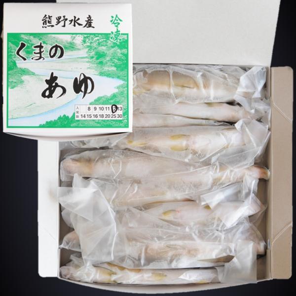 《商品説明》くまのあゆは、天然鮎が遡上するダムのない清流、富田川沿いで養殖された鮮度抜群の鮎です。熊野古道中辺路の深い山を背負い、川や滝、巨石に神が宿る聖地、熊野の地下水で育った鮎は、野鮎のようにスイカの香りがします。１尾づつ個包装のため、...
