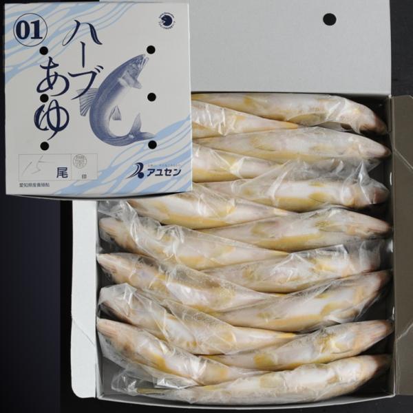《商品説明》５種類のハーブエキスを食べさせることによって背脂をも極限にまで尾さえ（霜降りのような身質）、鮎本来のスイカ香りが味わえる、天然鮎に優る味と香りを実現しました。愛知県東三河を流れる豊川水系の地下25-200ｍの良質で豊富な地下水を...