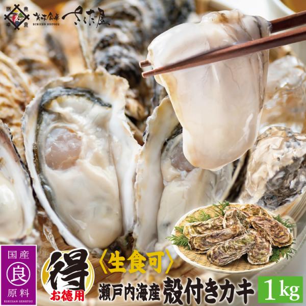 ◎内容量：殻付きカキ1kg◎原材料：兵庫県産かき◎お召し上がり方：バーベキューにはもちろん、ご自宅でも簡単にお召し上がり頂けます。◎配送方法：冷凍便【利用用途】ギフト お中元 お歳暮 内祝い 手土産 父の日 母の日 敬老の日 誕生日 贈答用...