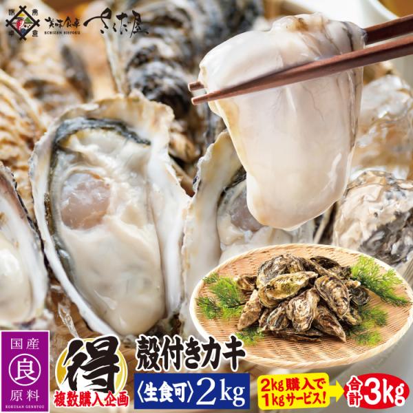 ◎内容量：殻付きカキ2kg+1kg◎原材料：兵庫県産かき◎お召し上がり方：バーベキューにはもちろん、ご自宅でも簡単にお召し上がり頂けます。◎配送方法：冷凍便【利用用途】ギフト お中元 お歳暮 内祝い 手土産 父の日 母の日 敬老の日 誕生日...