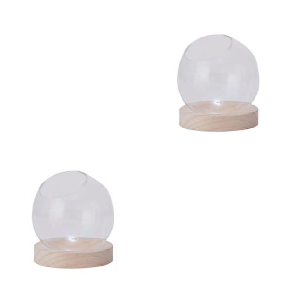 花・観葉植物用ポット スモールテラリウム B 11 TERRARIUM （2個入り） 93144 底穴なし （代引き不可） テラリウム FARM (p359)【代引き不可】　自然をコンパクトに楽しむテラリウムポット。お部屋のインテリアにガー...