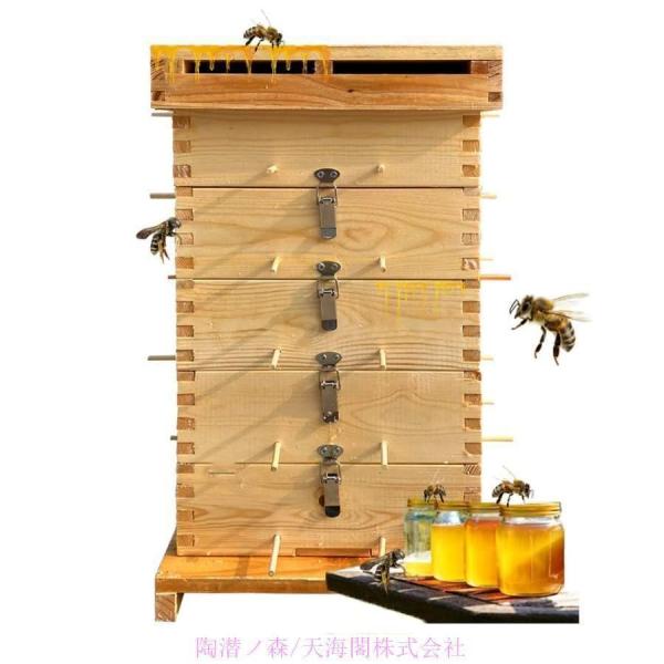 ★ユニークなデザイン:蜂の巣巣礎を必要としない 竹串で代用する 蜂蜜を取るのは簡単で、繰り返し取り出す必要がなくて、ミツバチに対する妨害を減らします ★より安全:養蜂箱網の設計があり、外の昆虫から蜂を守ることができます 掃除はもっと便利で、...