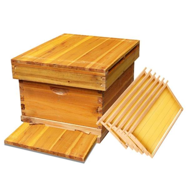 【理想的なツール】養蜂は芸術であり、デラックスビーハイブスターターキットは、養蜂家が最初の蜂のコロニーを始めるための最高の方法です。これにより、ハチミツの採集が楽しくなり、初心者や上級の養蜂家にとって簡単になります。【養蜂製品】養蜂箱網の設...