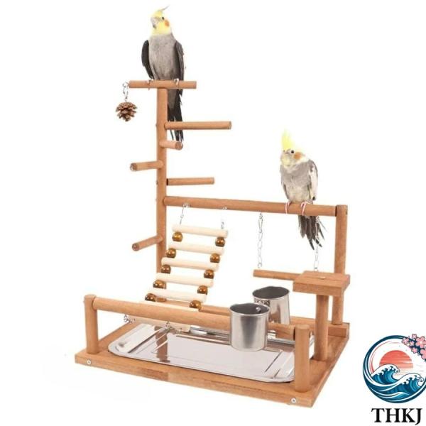 鳥、オウム、遊び場、止まり木、遊び場、ラブバード、セキセイインコのためのクライミング