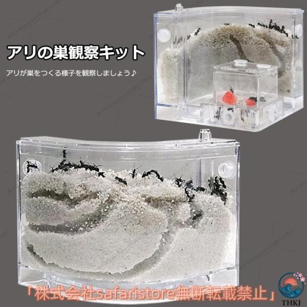 アリの巣　あり観察キット　飼育ケース　砂　自由研究 小学生 あり 蟻 飼育セット 実験セット 観察　夏休み　学習用アリの巣　あり観察キット　アリの巣観察キット　アリ　巣　観察　飼育ケース　砂　自由研究 小学生 キット あり 蟻 飼育セット ...