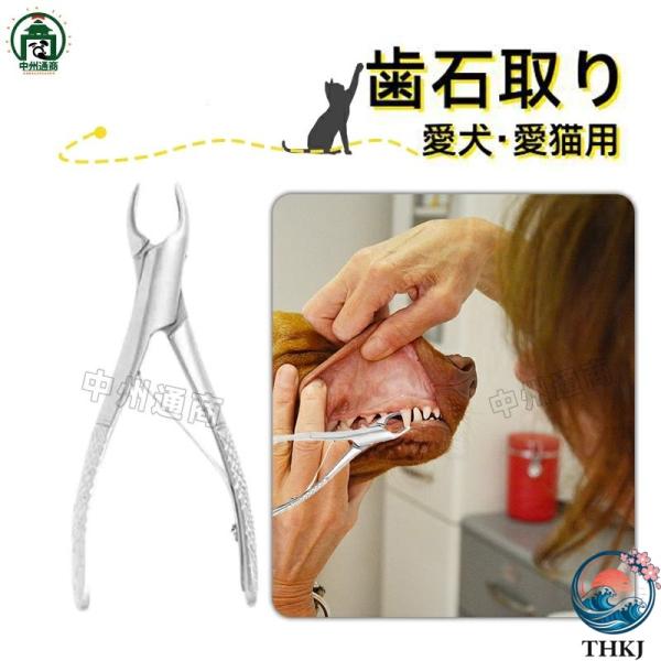 愛犬・愛猫用 歯石取り ペンチ 犬 歯石 デンタルケア ホームケア 猫 プロも愛用