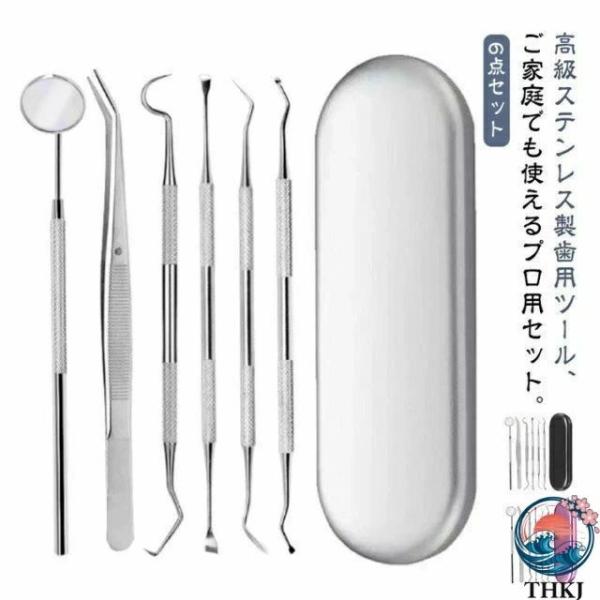 高級ステンレス製歯用ツール、ご家庭でも使えるプロ用セット。自宅で本格汚れ除去、充実の6点セット。初心者にも安全安心の高級ステンレス製。自宅で手軽に 食べかす、歯石、歯垢、虫歯、色素沈着に、本格的な口内ケアを。ワンちゃんの健康維持に大事な犬歯...