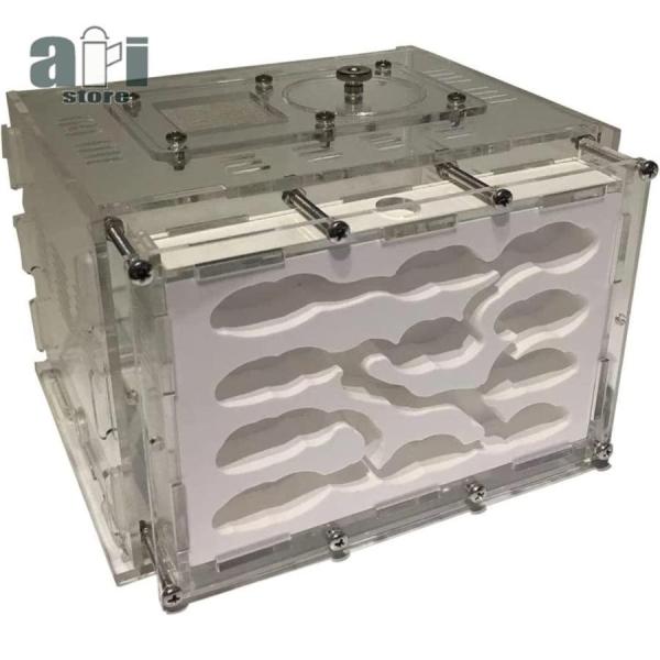 透明なアクリルでできたケースは360度どの方向からでも中の様子を隅々まで観察することができます。組織化された社会的行動をとるアリの驚くべき生態をあますことなく見ることができ、お子様にとって大変貴重な体験となるでしょう。また、夏休みの宿題や自...