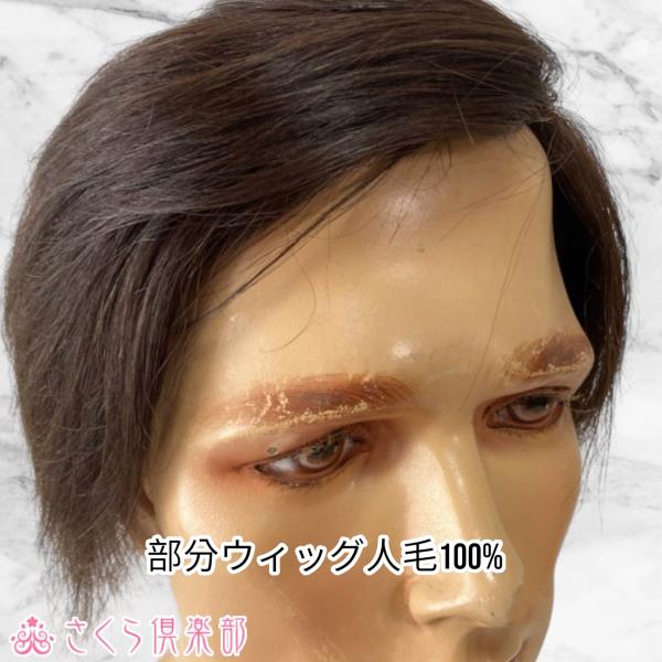商品説明人毛ミックスの七三分けタイプです大きめサイズで広範囲をカバーが可能です人毛、耐熱人工毛をミックスさせる事で人毛が持つ自然さと人工毛の艶がミックスされとても自然な仕上がりになりました（モノフィラメントネット使用で通気性も良く自分の地肌...