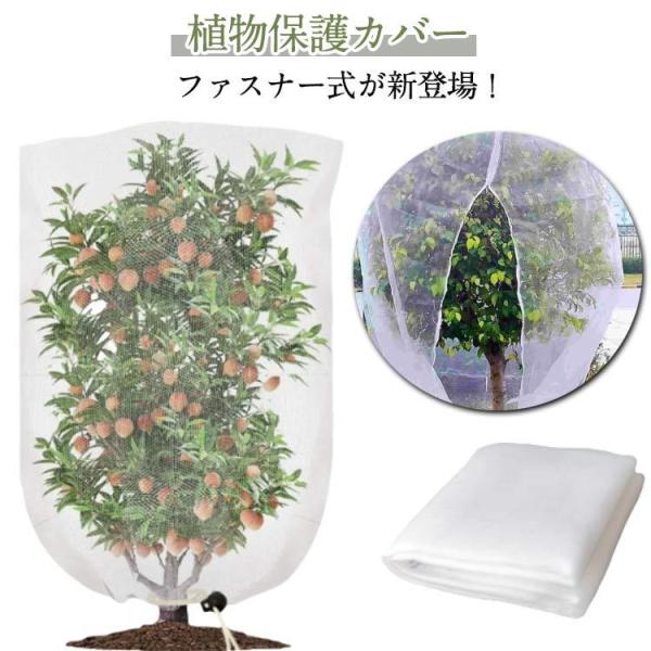 80*100cm 80*120cm 100*120cm 120*180cm 180*180cm 240*240cm 100*140cm 70*100cm 120*150cm
