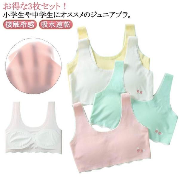 M適応体重25-35kg L適応体重35-45kg XL適応体重45-55kg