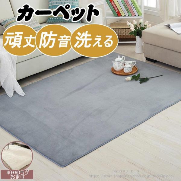 ◆POINT：1【幅広い用途】あらゆる部屋に適しています：居間、寝室、玄関ホール.....◆POINT：2【環境保護】防ダニ・抗菌・防臭仕様フルカラー、退色なし、ボールなし、より便利な入場。◆POINT：3【簡単に掃除】水洗いや洗濯機もサポ...