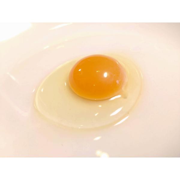 ハーブの一種「マリーゴールド」与えています。新陳代謝促進効果がある生薬として知られる、高麗人参を与えています。善玉菌（EM菌）乳酸菌・酵母菌・納豆菌・光合成菌約84種を組み合わせ鶏に与えています。また宮城県産または広島県産の牡蠣殻などを与え...