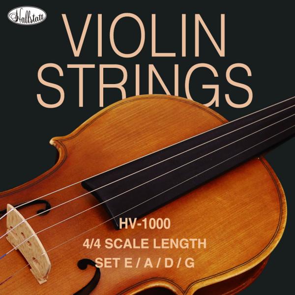 コストパフォーマンスに優れたバイオリン弦！4G・3D・2A・1E / ボールエンド弦は消耗品です。突然切れてしまうことや、使い続けると錆びて張りのない音へと変わってきます。定期的な弦交換が必要ですので、交換弦の常備をおすすめしております。※...