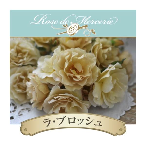 【発売日：2026年04月15日】【商品説明、メーカー発表説明】■サイズ：新苗4号鉢(4寸)・写真は生育イメージです■花期：繰り返し咲き■樹高、幅、樹形：約1.5ｍ〜1.6ｍ、シュラブ■花径：中輪■花形：波状弁咲き【特徴】河本麻記子さん作出...