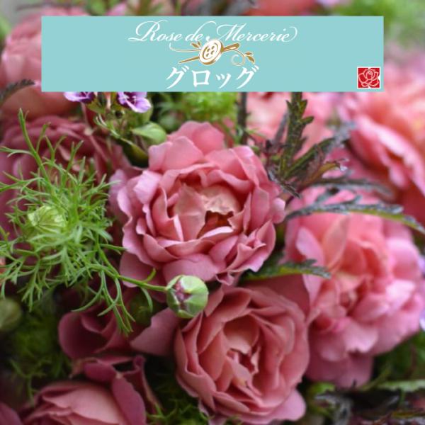 【発売日：2026年04月15日】【商品説明、メーカー発表説明】■サイズ：新苗4号鉢(4寸)・写真は生育イメージです■花色：紫がかるワインピンク色■樹形：シュラブ■花径：中輪■花形：波状弁咲き■花期：四季咲き■樹高：1ｍ〜1.2ｍ■香り：中...