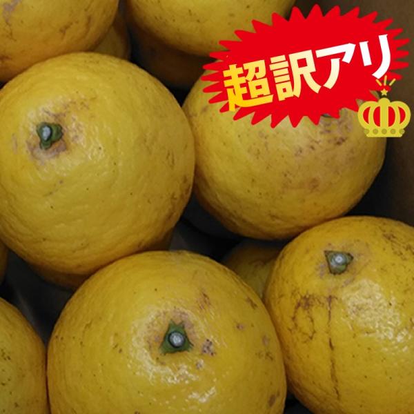 送　料　　　　　　送料無料　　　　　　　　賞味期限　　　　お届けから１４日間程度 　　　　　　　　　　（保存の条件により異なります。）保存方法　　　　常温保存お支払い方法　クレジットカード/銀行振り込み/商品代引きの中からお選びいただけます...