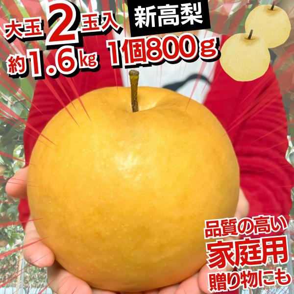 天候などの影響を受けやすい商品です。到着日指定はお約束できませんご不在予定を事前にお知らせいただくか、お時間指定などで対応させていただきます