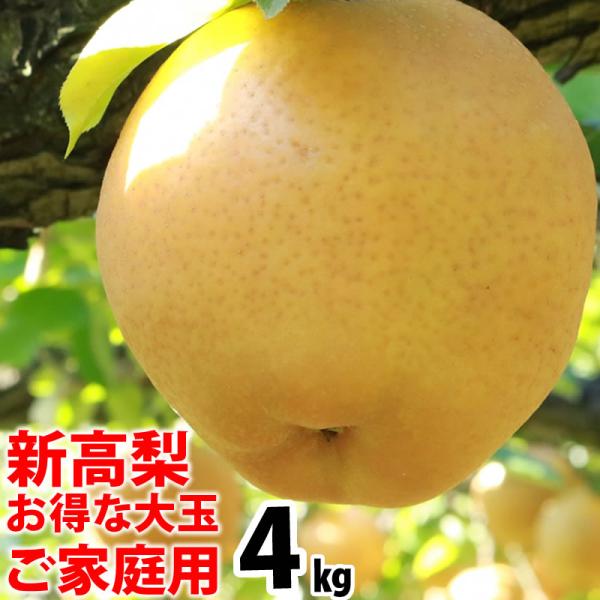 天候などの影響を受けやすい商品です。到着日指定はお約束できませんご不在予定を事前にお知らせいただくか、お時間指定などで対応させていただきます