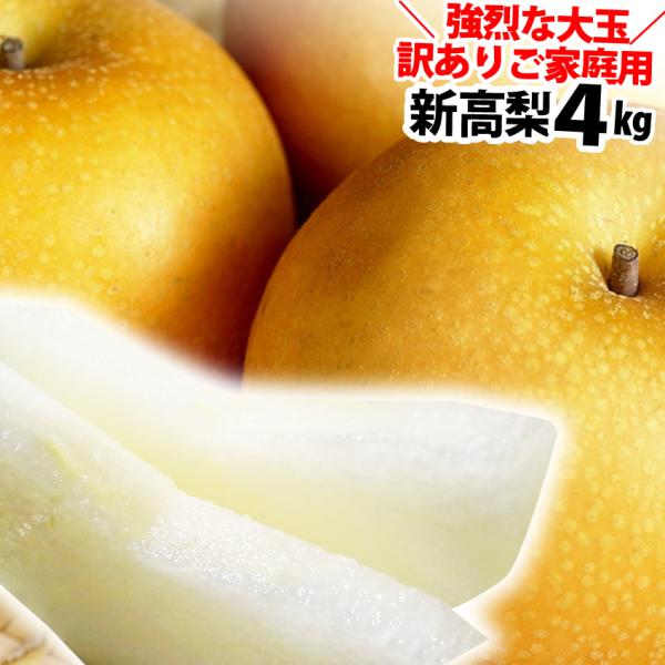 送　料　送料無料天候などの影響を受けやすい商品です。到着日指定はお約束できませんご不在予定を事前にお知らせいただくか、お時間指定などで対応させていただきます