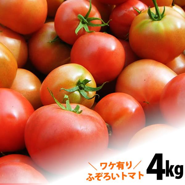 【送料無料】沖縄県と北海道と離島は配送不可土佐の高知の新鮮不ぞろいトマト君 　　　配送方法　　 　　普通便（常温） 　　　　　　　　　　配達時間指定承ります。（午前、午後14時、午後14〜16時、午後16〜18時、夜間18〜20時、夜間20...