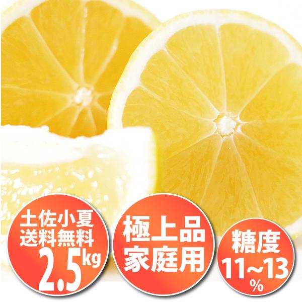 -----------------------------------------送　料/送料無料-----------------------------------------沖縄県と離島は配送不可-------------------...