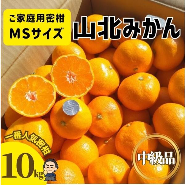 【送料無料】 高知産：山北みかんＭＳサイズ限定10ｋｇみかん蜜柑　中級品　沖縄県と離島は配送不可　北海道は１個につき380円の送料高知県の山北みかんは香り高く、甘味と酸味のバランスがよく全国的にも高い評価を得ています。甘酸っぱい美味しいみか...