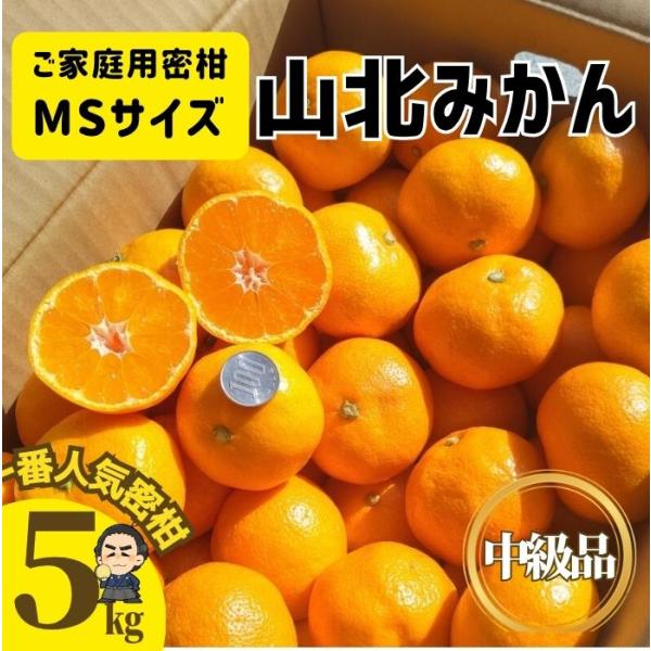 【送料無料】 高知産：山北みかんＭＳサイズ限定5ｋｇみかん蜜柑　中級品　沖縄県と離島は配送不可　北海道は１個につき500円の送料沖縄本土と北海道は別途送料 全国の離島は発送不可  １１月上頃より発送予定高知県の山北みかんは香り高く、甘味と酸...