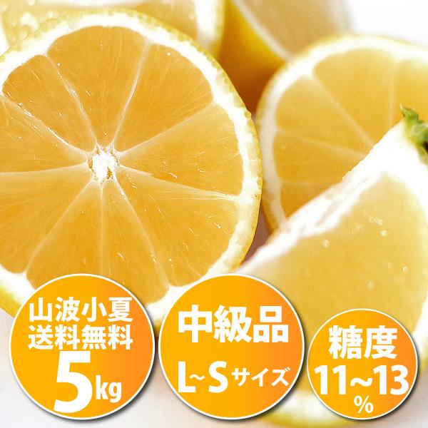 -----------------------------------------送　料/送料無料-----------------------------------------沖縄県と離島は配送不可-------------------...