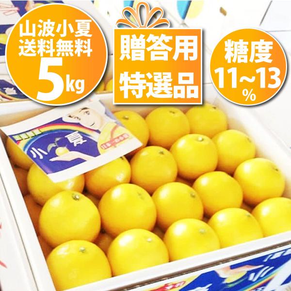 -----------------------------------------送　料/送料無料-----------------------------------------沖縄県と離島は配送不可-------------------...