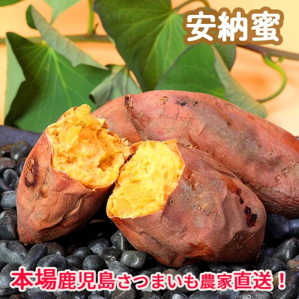【発売日：2020年09月30日】安納蜜は当店人気No.５のおいもでやきいもにすると蜜がでてとてもやわらかくあま〜いお芋です。新さつまいもを本場鹿児島より芋の風味を損ねないよう畑の土がついたままの無選別て゛お送りいたします。当方鹿児島県のエ...