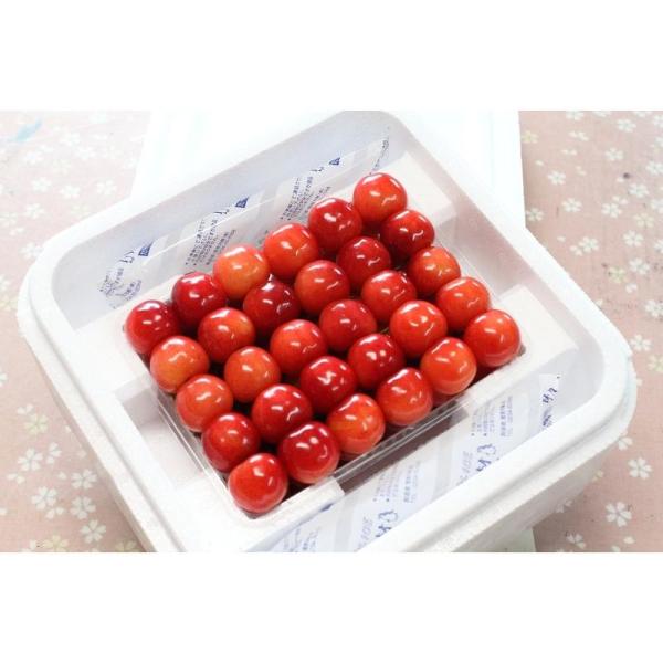 こちらの商品の発送は6月中旬です。初夏の味覚のさくらんぼ「紅秀峰」今年6月中旬から出荷の時期です。愛情込めて栽培し一粒一粒丁寧に選別し手並べの佐藤錦。鮮度を落とさないためにも発砲スチロール箱に保冷剤入りで遠方のお客様に贈答として最適です。重...