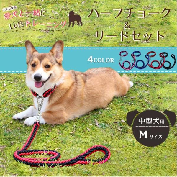【商品概要】ワンちゃんのトレーニングに適したハーフチョーク首輪とリードをセットで♪丈夫な作りとなっているので噛み癖、引っ張り癖のあるワンちゃんでも安心です。また、チェーンを採用したタイプなので、引っ張った時の「ジャラッ」という音が引っ張り癖...