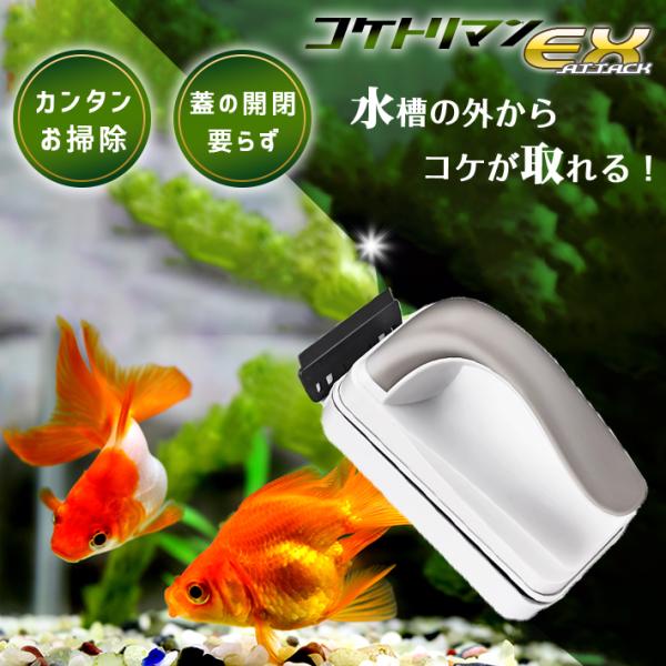 【商品概要】★コケトリマン 強力Extra attack★コケをゴッソリこそげ取る水槽用クリーナーです。本体とハンドルがマグネットで引き寄せ合うタイプで、水槽の外から掃除操作可能です。オプションのブレード（ステンレス／プラスチック）を装着す...