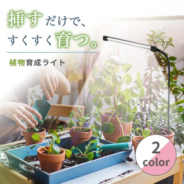 鉢に挿すだけで手軽に使える植物育成ライトです。5Wと省エネながら、明るさ500lmの高効率設計。インテリアを損ねない白色光と、植物の成長がより促進される赤色光の2種類をラインナップ。観葉植物・多肉植物・ハーブなど幅広く対応します。工具不要で...
