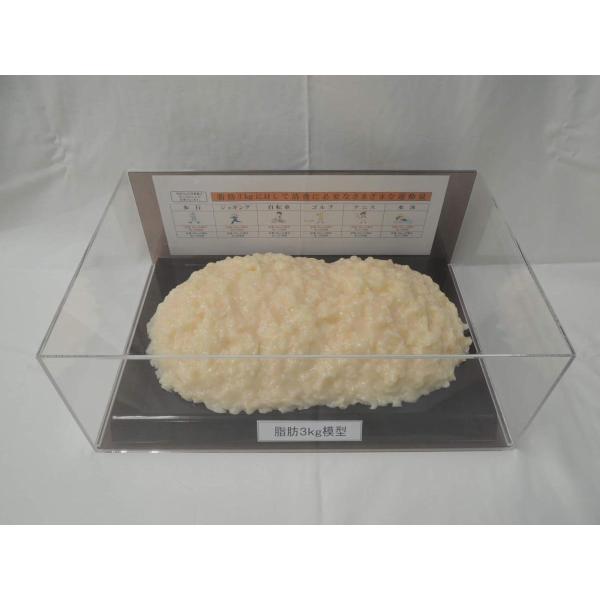 「肥満症の予防」や「メタボ健康指導」に陳列ディスプレイに最適な高級感溢れるフィギアケース入。 脂肪模型はフィギアケースより取り出せますので重さや大きさを手に取って体感できるツールになります。 見て触って重さを体感してください。 ダイエット中...